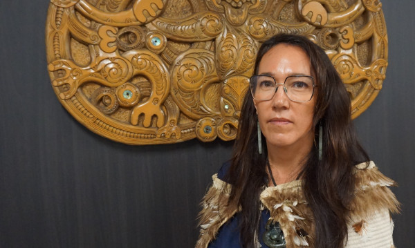Renowned indigenous rights expert joins the Human Rights Commission
