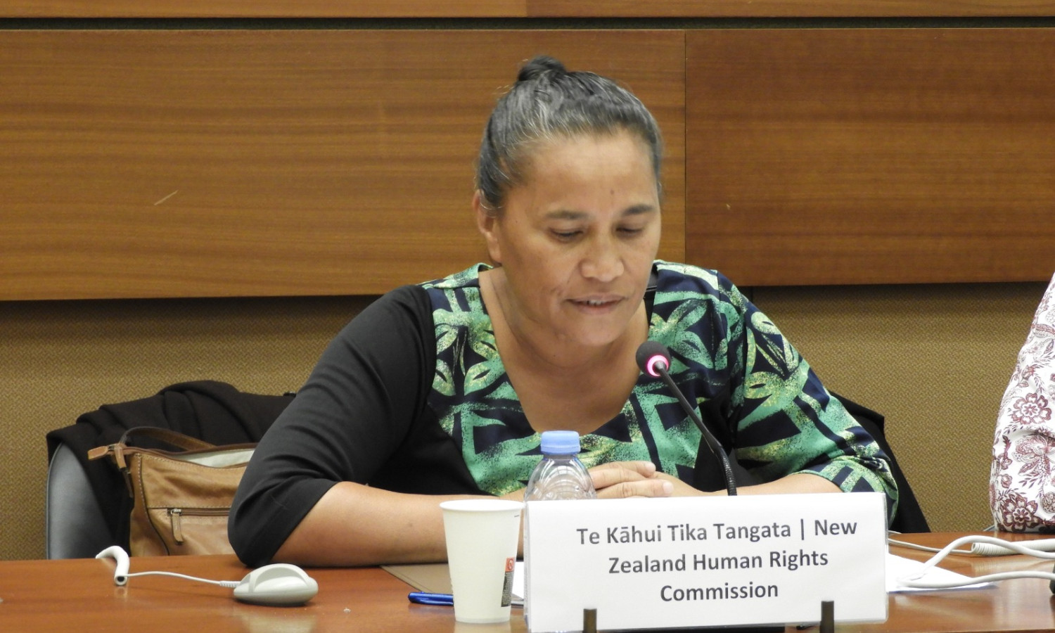 New Zealand's human rights record - Universal Periodic Review 2024