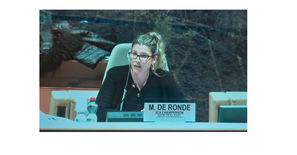 New Zealand at the forefront of international human rights in a double ...