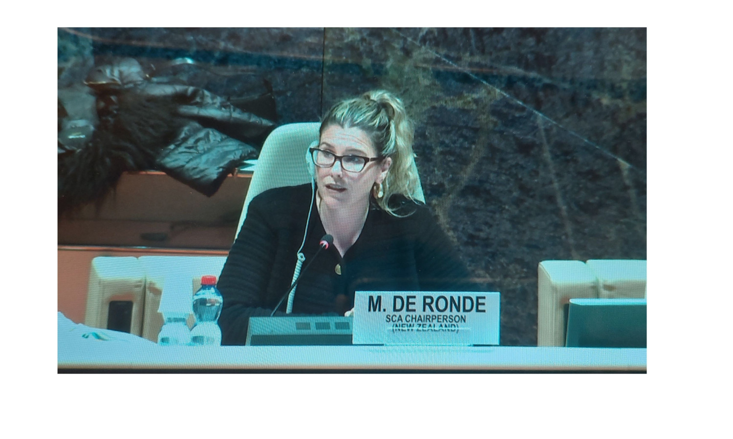 New Zealand at the forefront of international human rights in a double ...