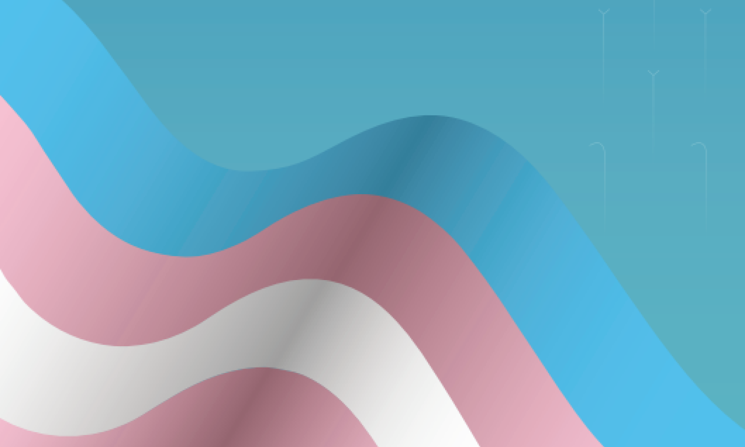 Trans Rights are Human Rights guide